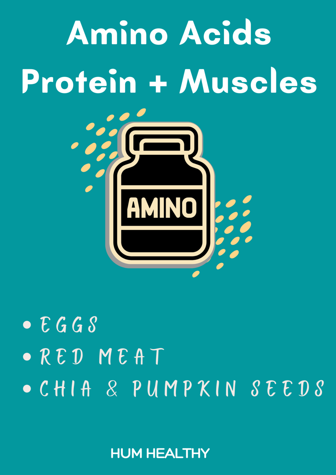 Best protein foods with the highest absorption rate - Amino acids and ...